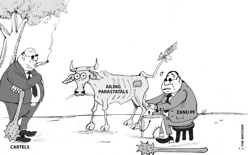 Cartoon: December 20, 2022 edition -Newsday Zimbabwe