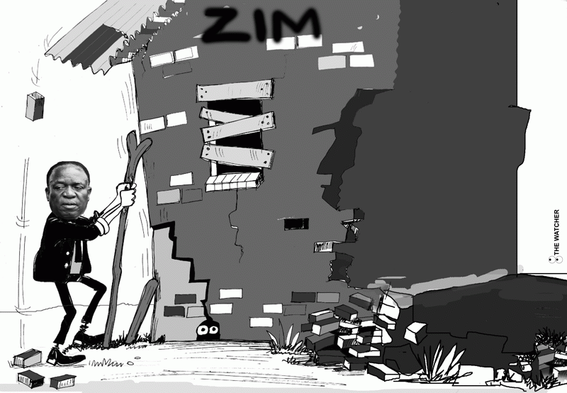 NewsDay cartoon 30 June, 2023 edition. -Newsday Zimbabwe