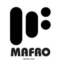 Mafro comes to Homeless WC team aid -Newsday Zimbabwe